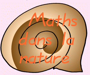 Maths et jeux - Symétries dans la nature